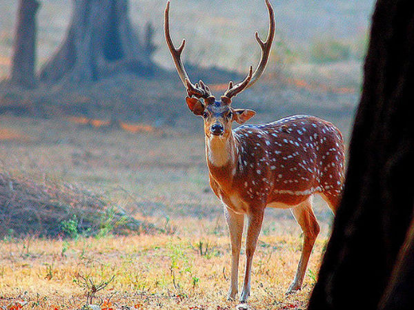 చత్ర - సుందర దృశ్యాల పట్టణం ! | best tourist attractions in chatra ...