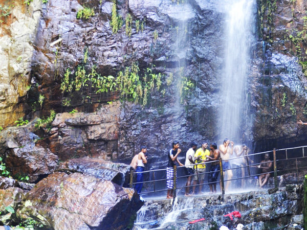 తిరుపతి సమీప జలపాతాలు ! | Waterfalls Near Tirupati - Telugu Nativeplanet