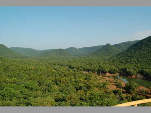 కంబాలకొండ ఎకో టూరిజం పార్క్, వైజాగ్ ! | Kambalakonda Eco Tourism Park ...