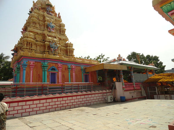 వనస్థలిపురం జింకల పార్క్ చూసొద్దామా !! | Vanasthalipuram National Park ...